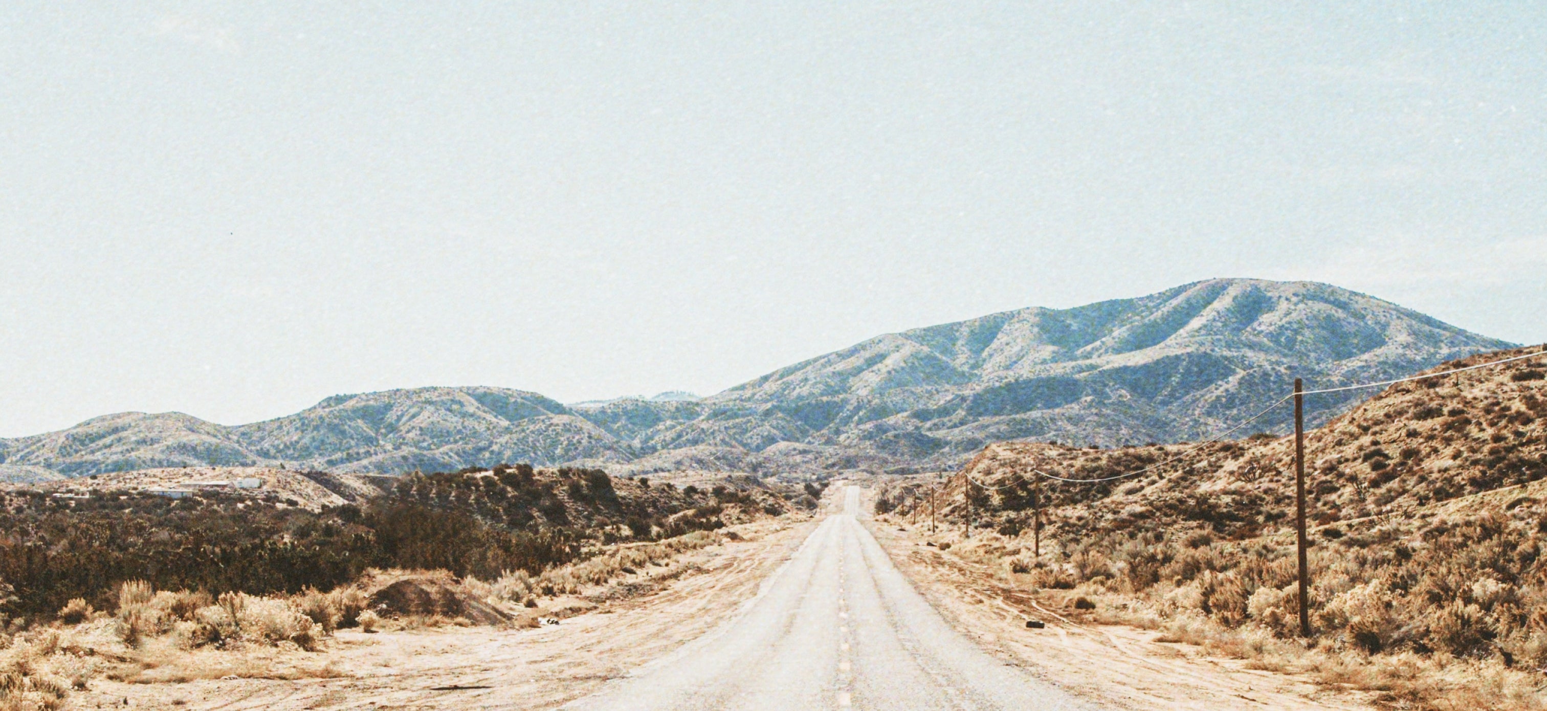 ROASTS & BUNDLES – Toro Bravo Coffee