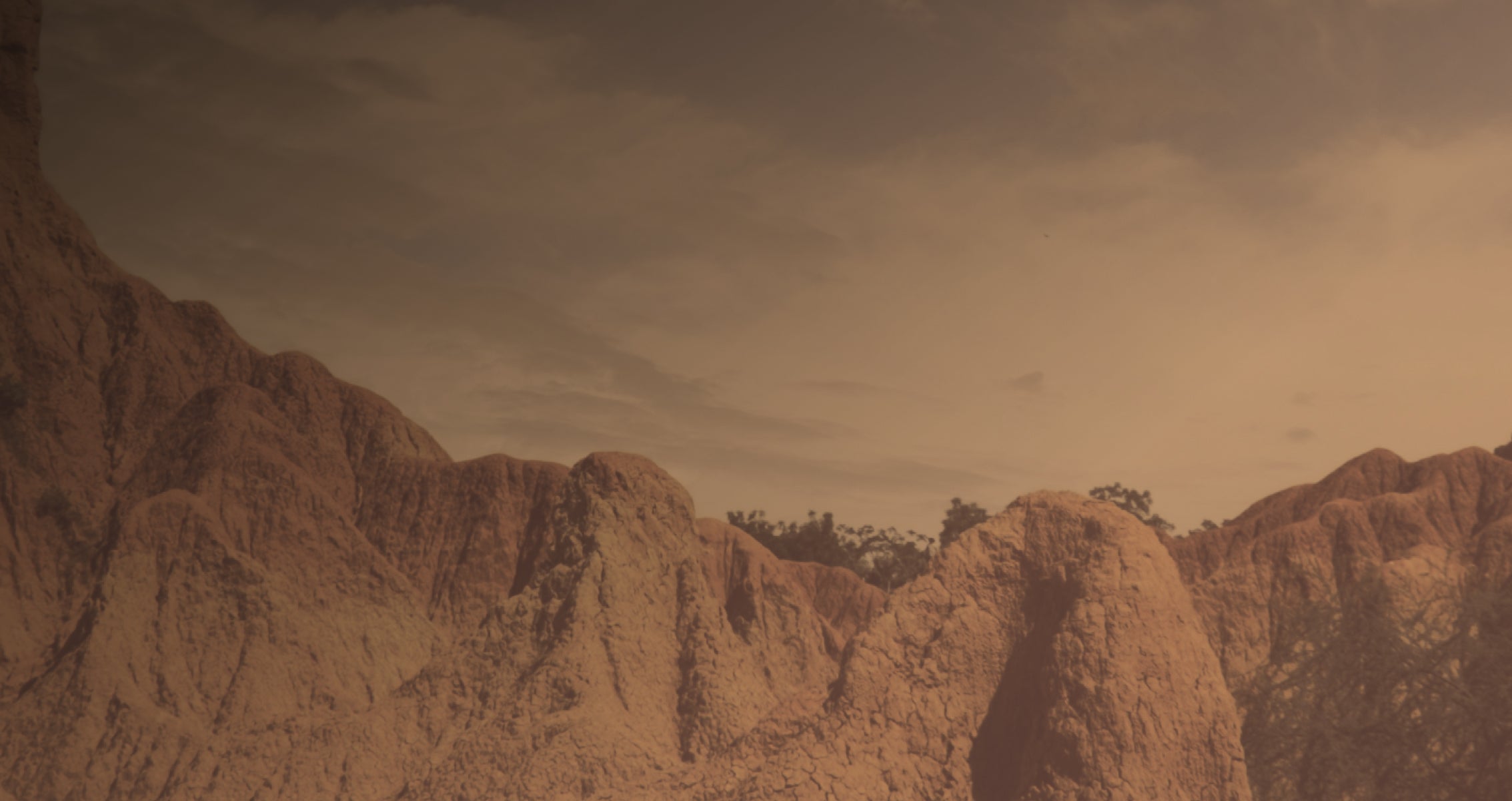 TORO BRAVO COFFEE – Toro Bravo Coffee