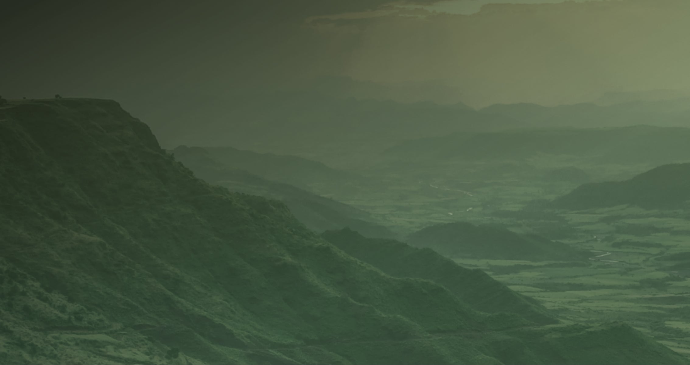 TORO BRAVO COFFEE – Toro Bravo Coffee